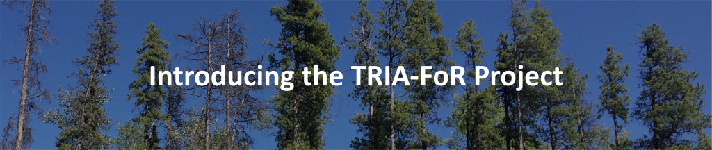 TRIA-FoR